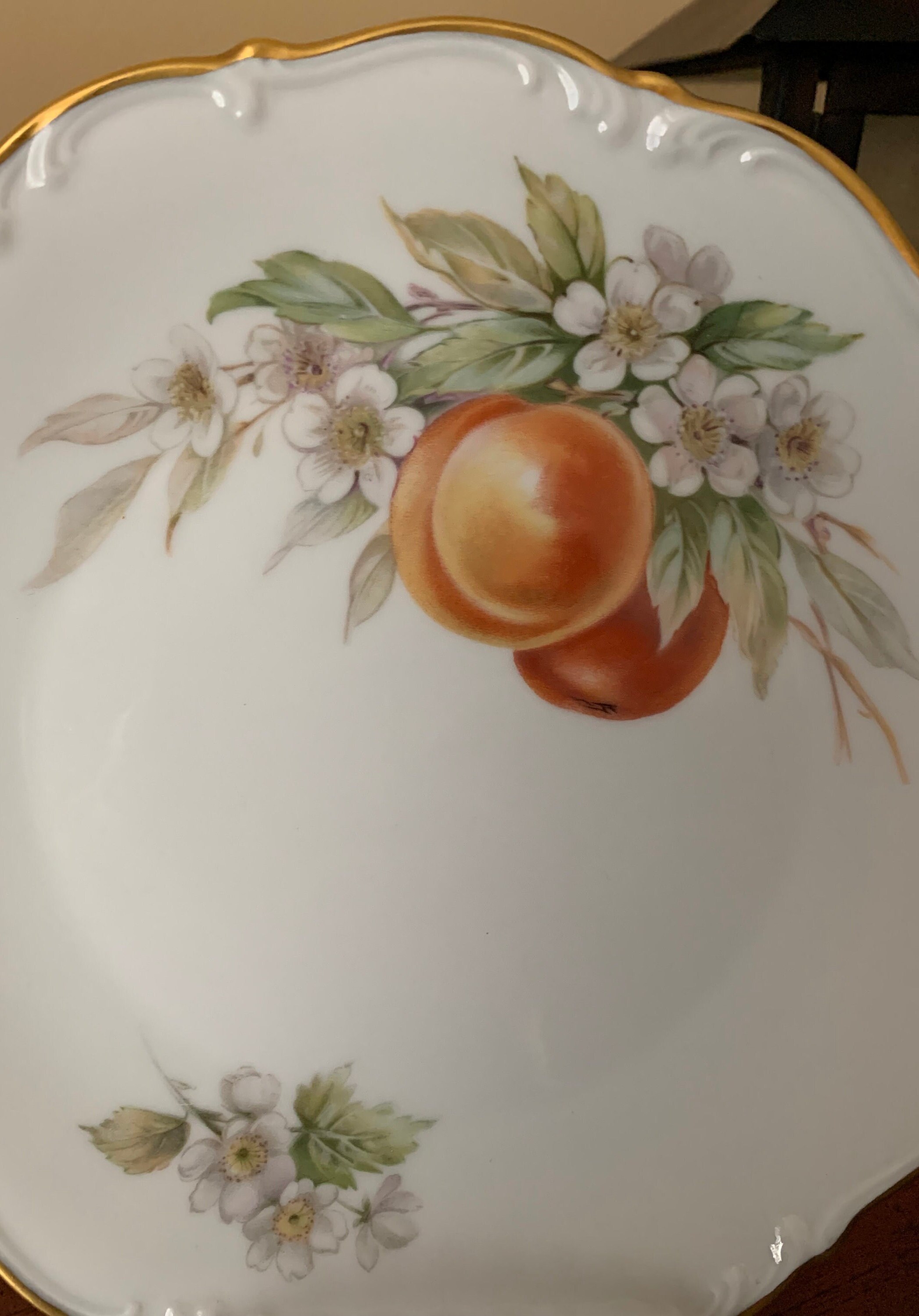 PT Bavaria Tirschenreuth Pasco FRUIT Pattern Salad Plates, Set of Two 2 ...