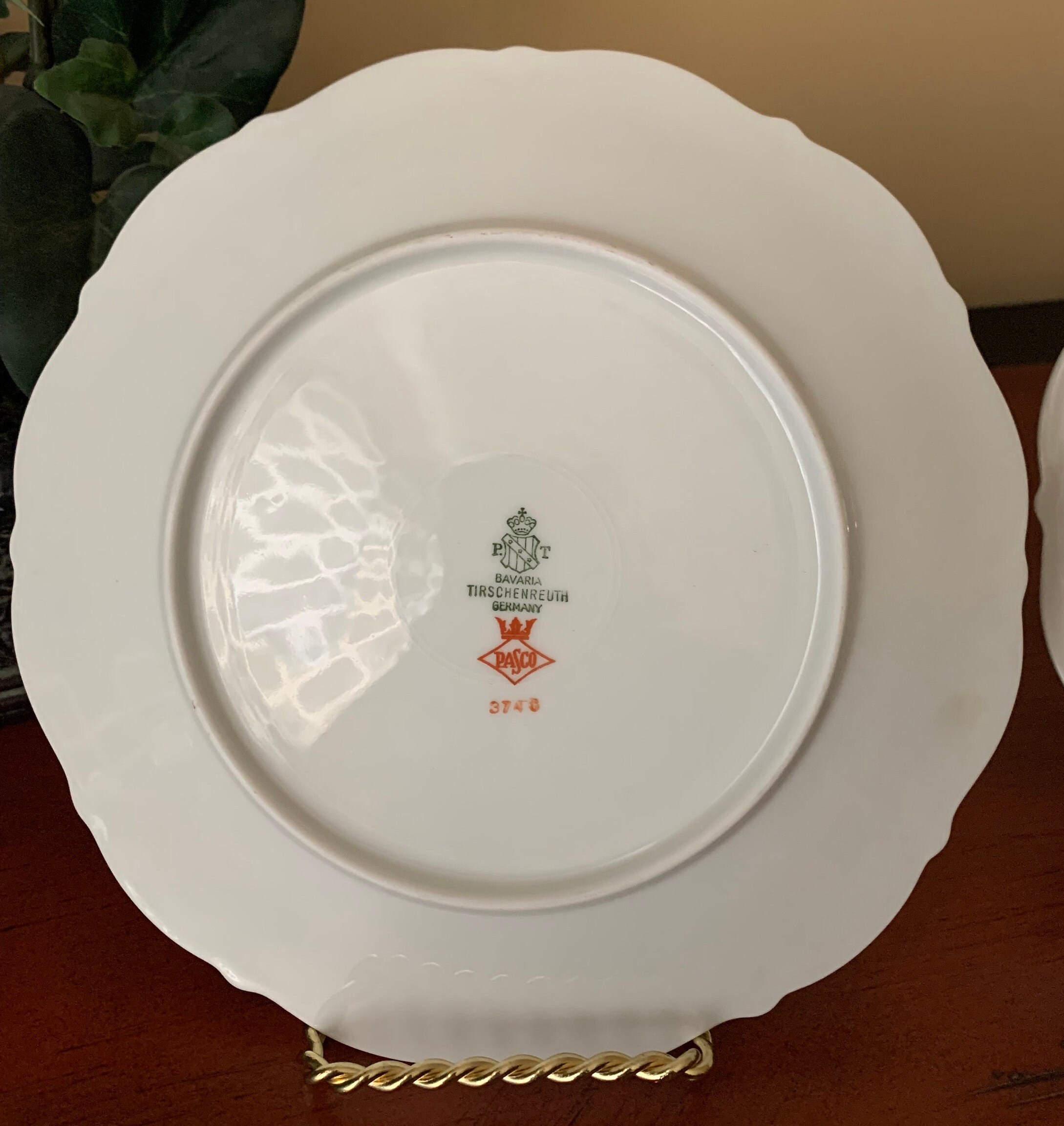 PT Bavaria Tirschenreuth Pasco FRUIT Pattern Salad Plates, Set of Two 2 ...
