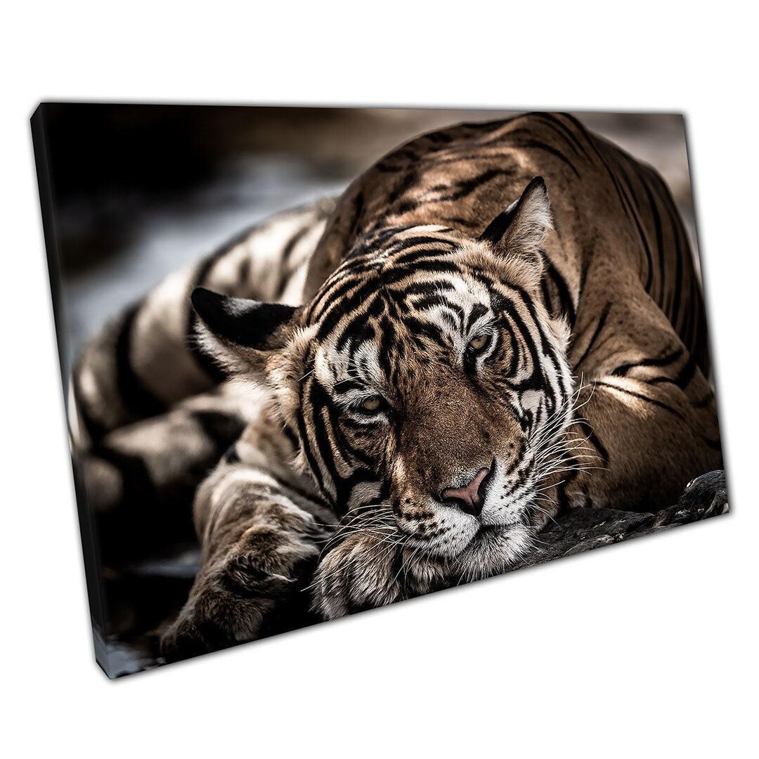Majestic Bengal Tiger Canvas Art: Wildlife Reserve Scene for Home ...