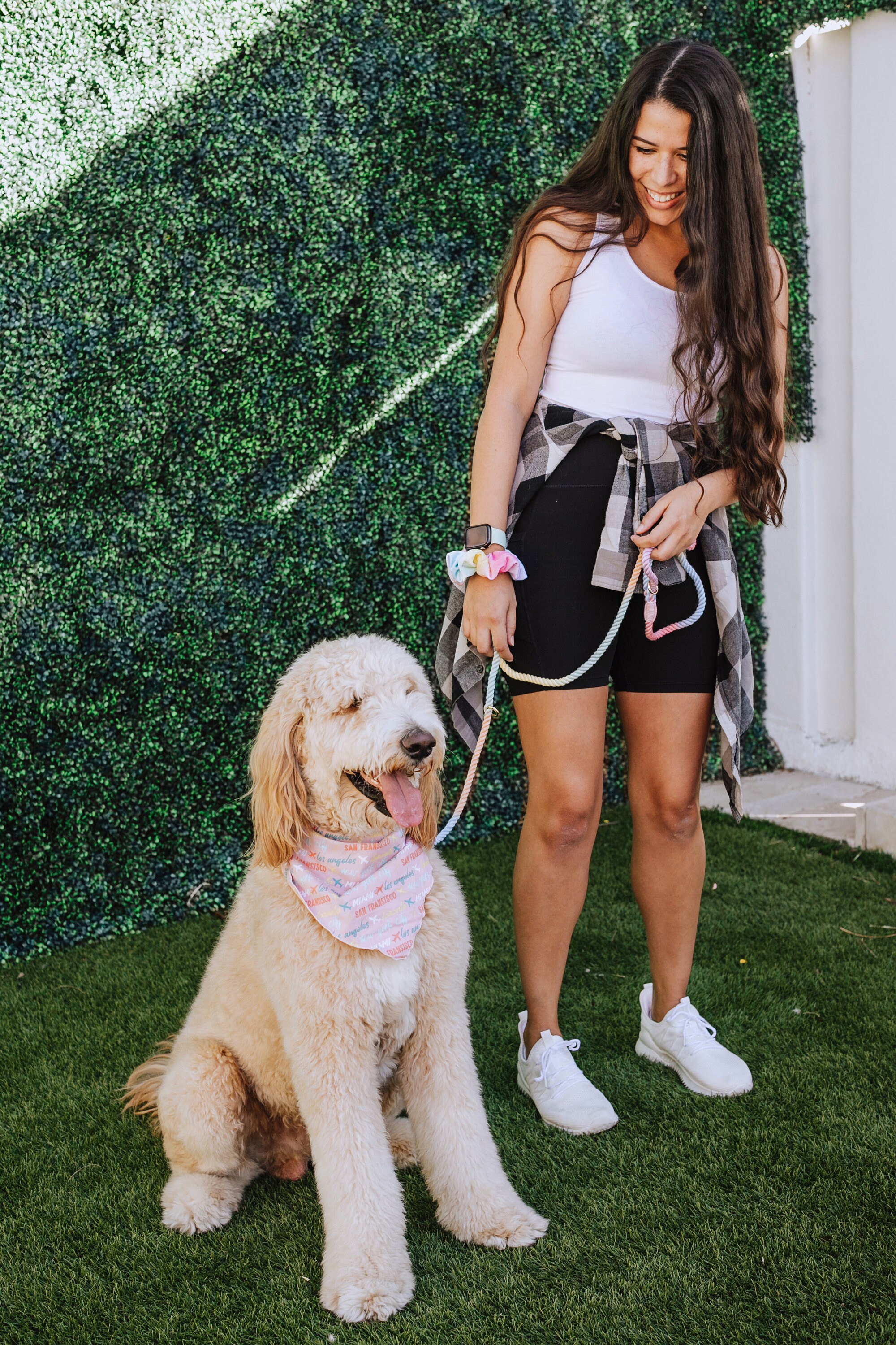 Multi-way Gradient JOY Leash - Etsy