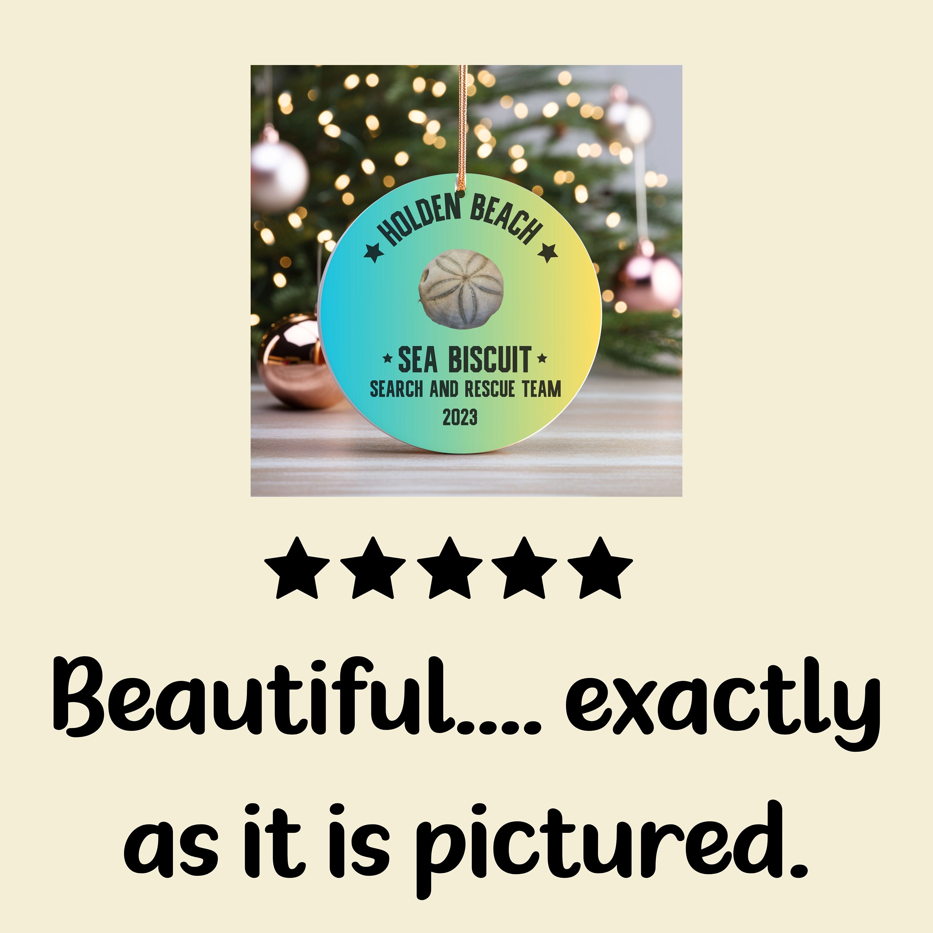 Holden Beach Ornament, Sea Sheller's Shirt, North Carolina, Sea ...