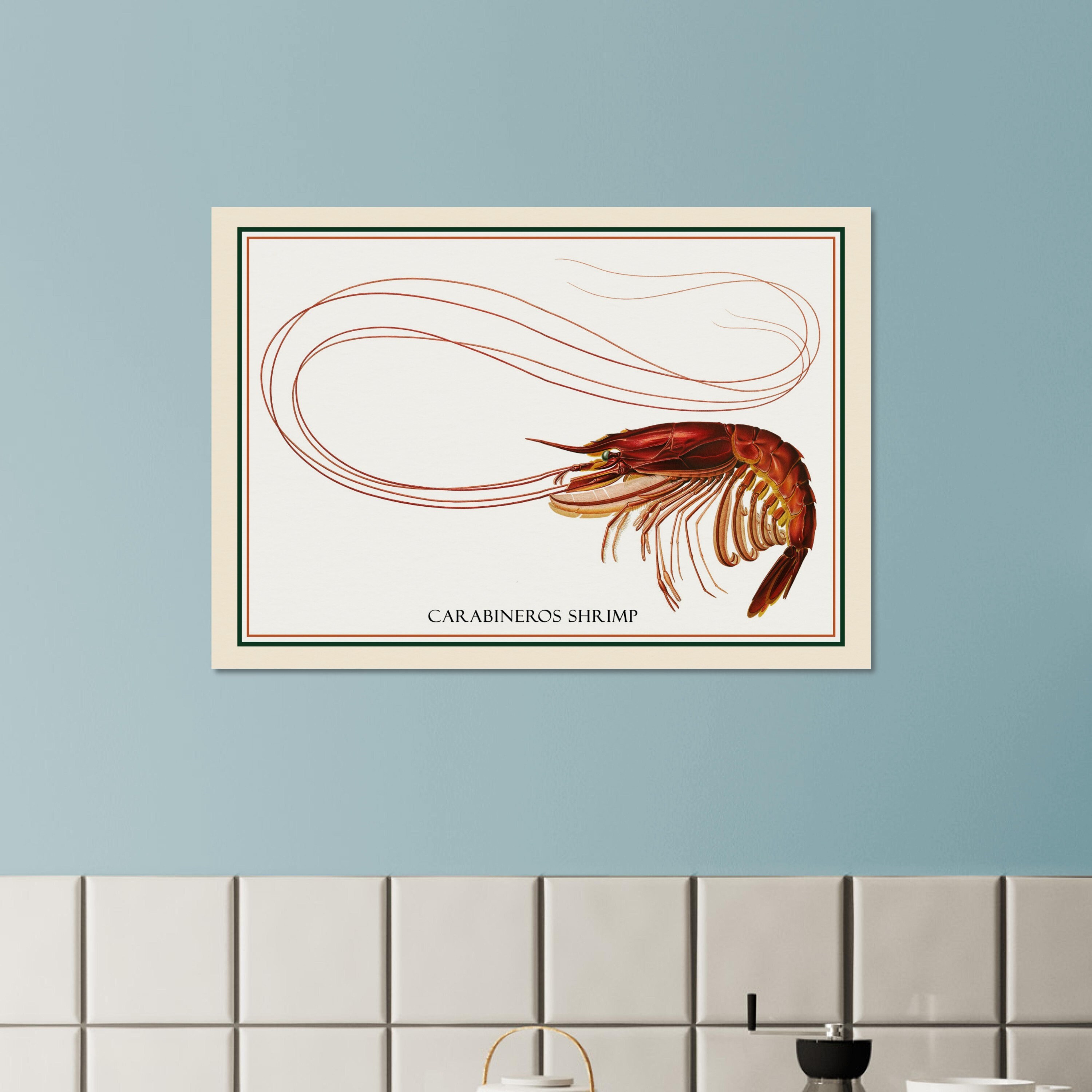 Shrimp Prawn Vintage Natural Science Illustration, Late Victorian Era ...