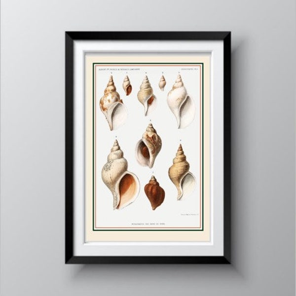 Science Illustration - Etsy