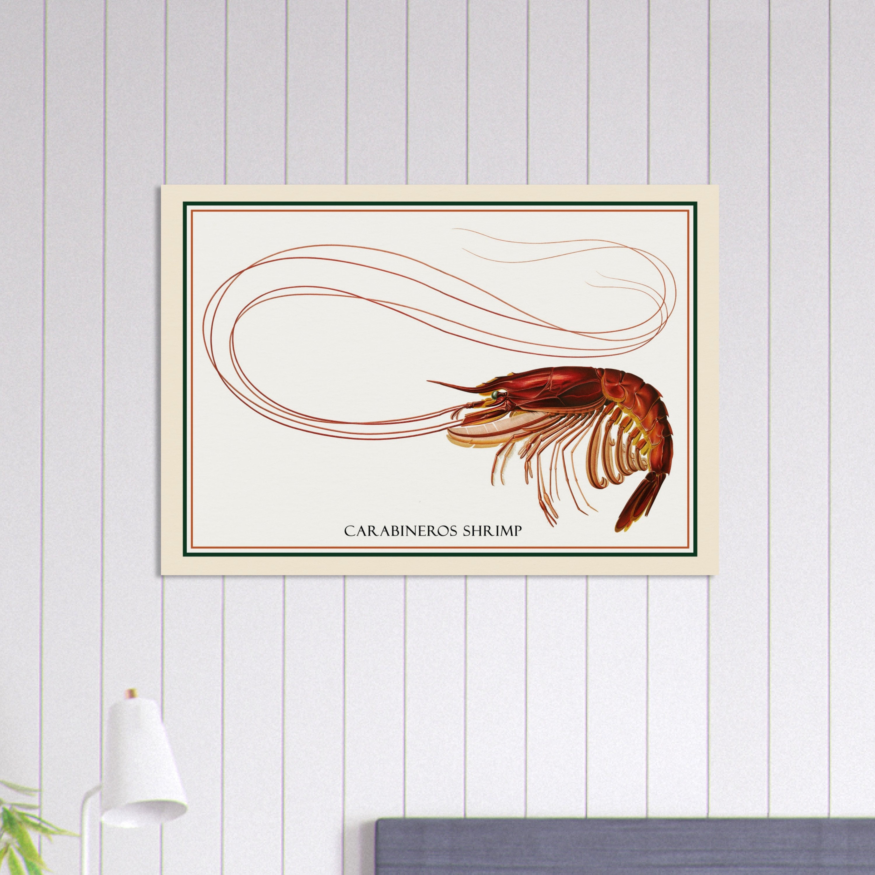 Shrimp Prawn Vintage Natural Science Illustration, Late Victorian Era ...