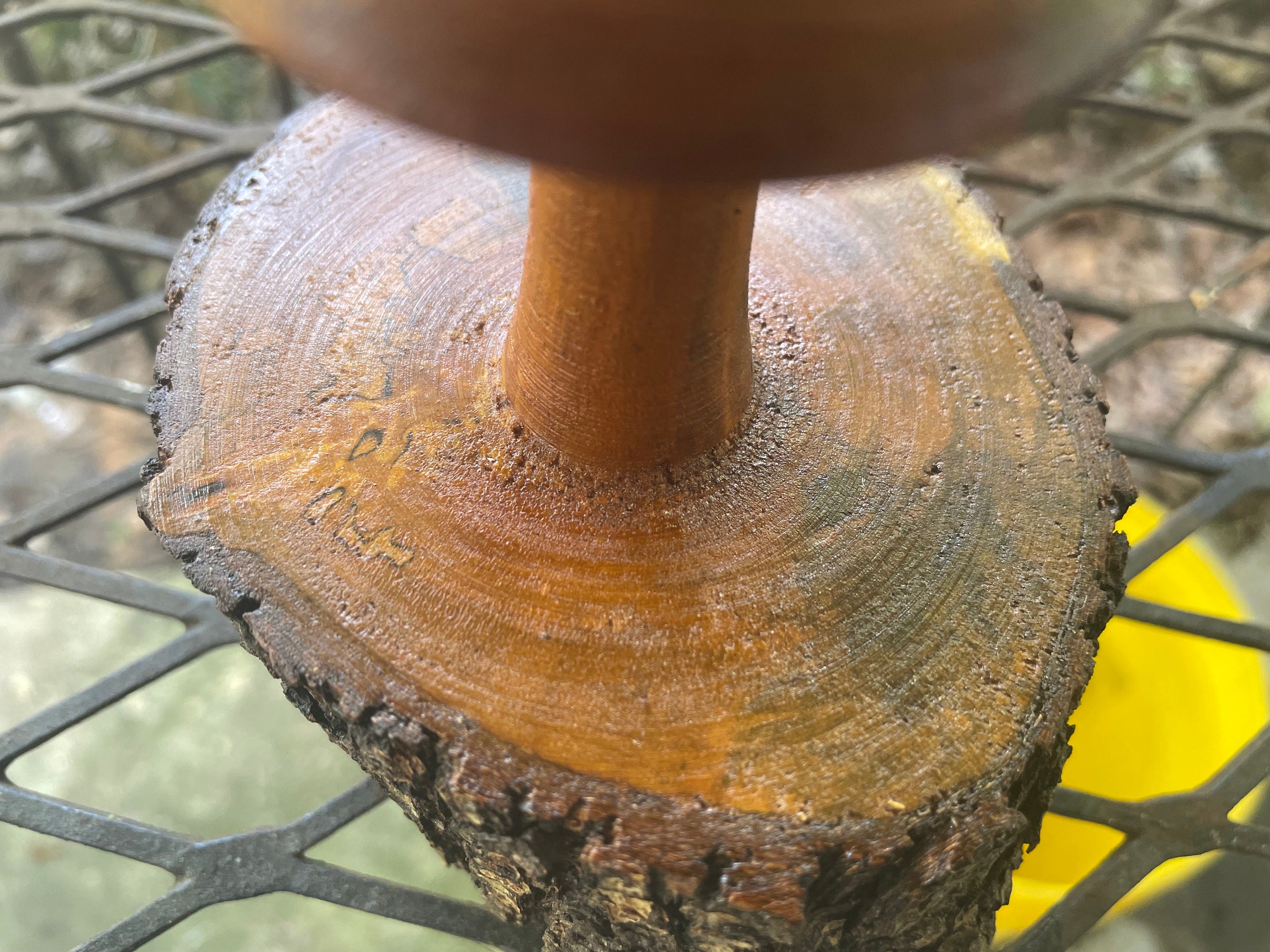 Wooden Hand Lathed Tree - Etsy