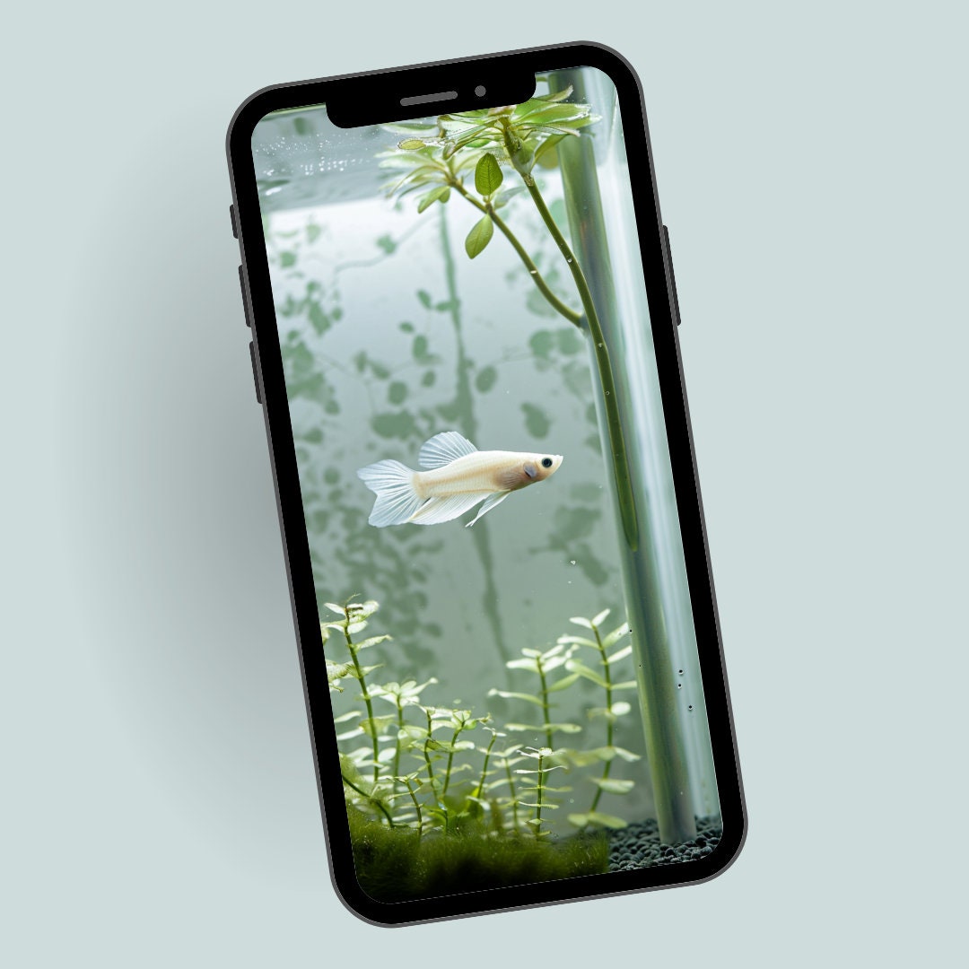 Realistic 3D Aquarium Phone Wallpaper With White Fish, Underwater Phone ...