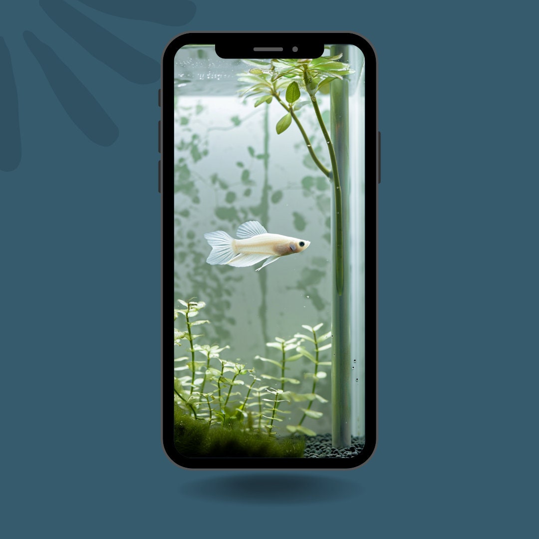 Realistic 3D Aquarium Phone Wallpaper With White Fish, Underwater Phone ...