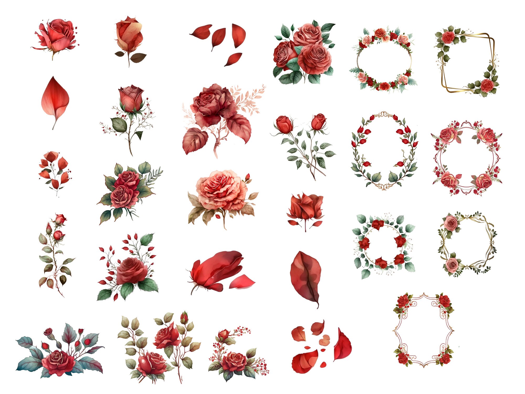 Watercolor Floral Red Roses Clipart Red Roses Watercolor - Etsy