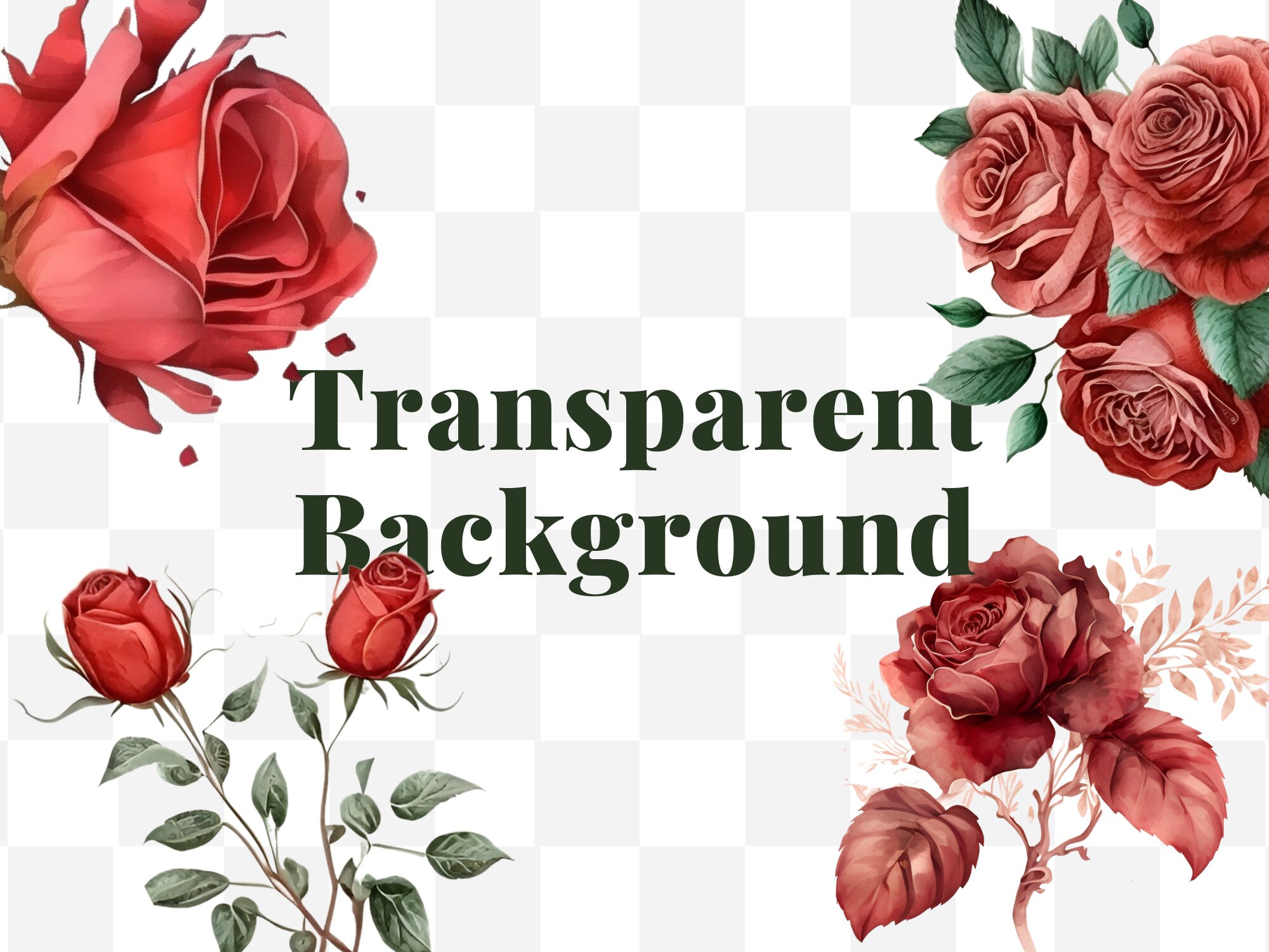 Watercolor Floral Red Roses Clipart Red Roses Watercolor - Etsy