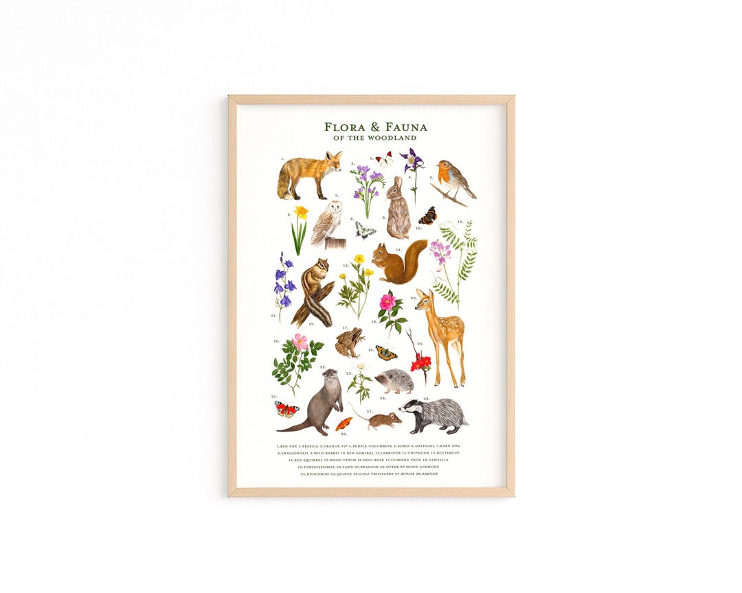 Flora & Fauna Chart Print – Woodland Animals Wildflowers | Botanical ...