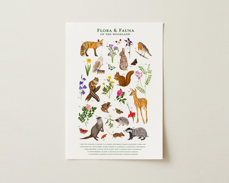 Flora & Fauna Chart Print – Woodland Animals Wildflowers | Botanical ...