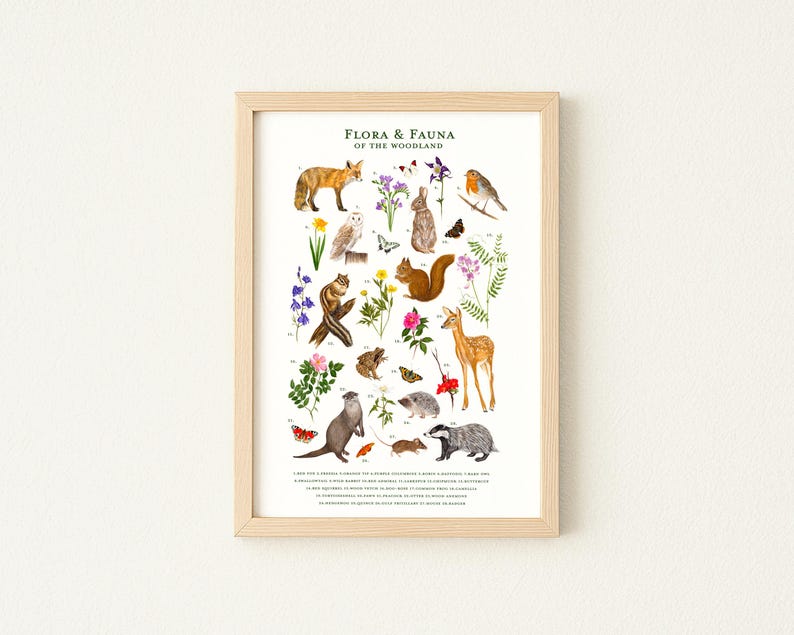 Flora & Fauna Chart Print – Woodland Animals Wildflowers | Botanical ...