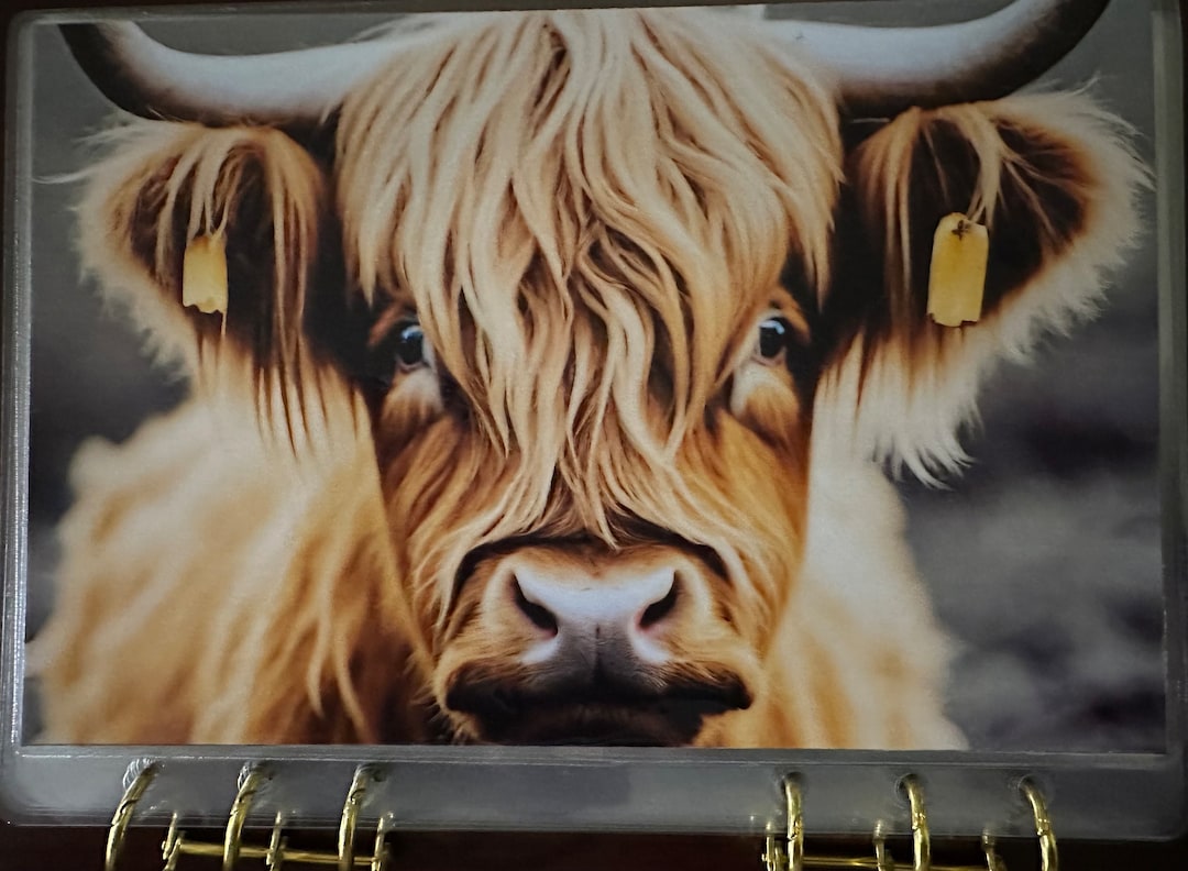 Highland Cow Binder - Etsy