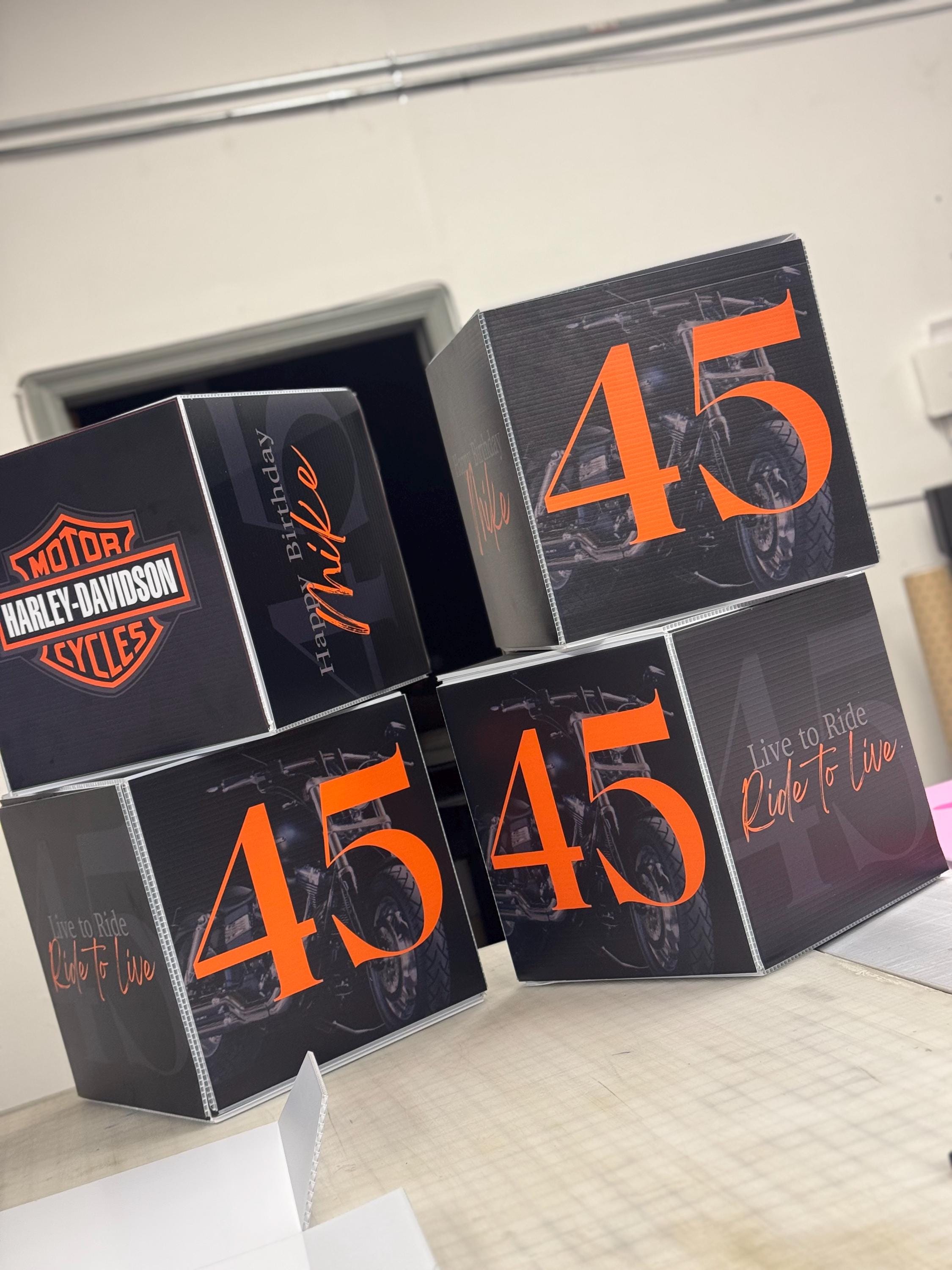 PVC Custom Photo Cube Photo | Birthday Backdrop | Custom Backdrop ...