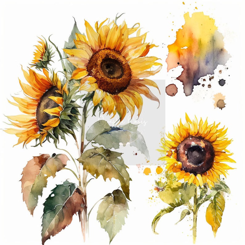 Watercolor Sunflowers Clipart, Sunflower Floral Bouquets, 40 PNG ...