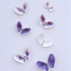 Purple Seashell Butterfly Art From Portugal | Coastal Home Wall Decor ...