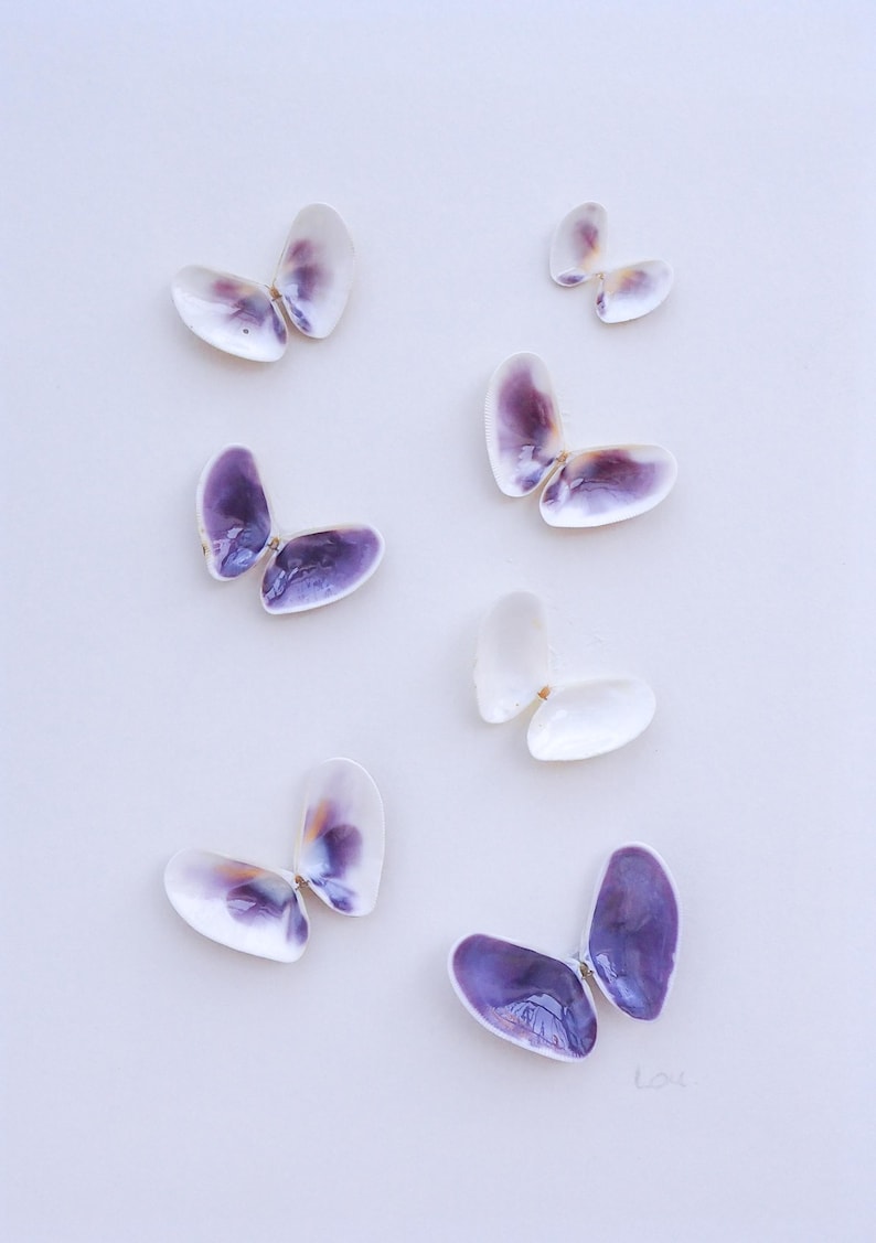 Purple Seashell Butterfly Art From Portugal | Coastal Home Wall Decor ...
