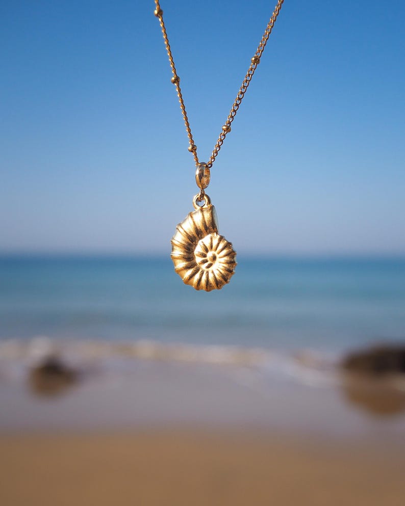 Nautilus Shell Necklace, 18k Gold Stainless Steel, Spiral Seashell ...