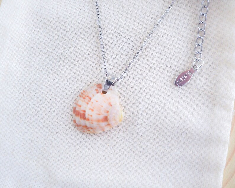 White Strawberry Venus Shell Silver Necklace Real Shell Jewelry Coastal ...