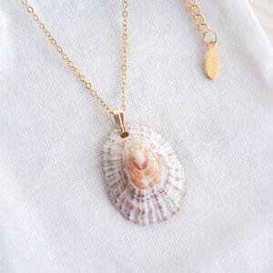 Gold Rustic Limpet Shell Necklace Real Shell Jewelry From Portugal ...