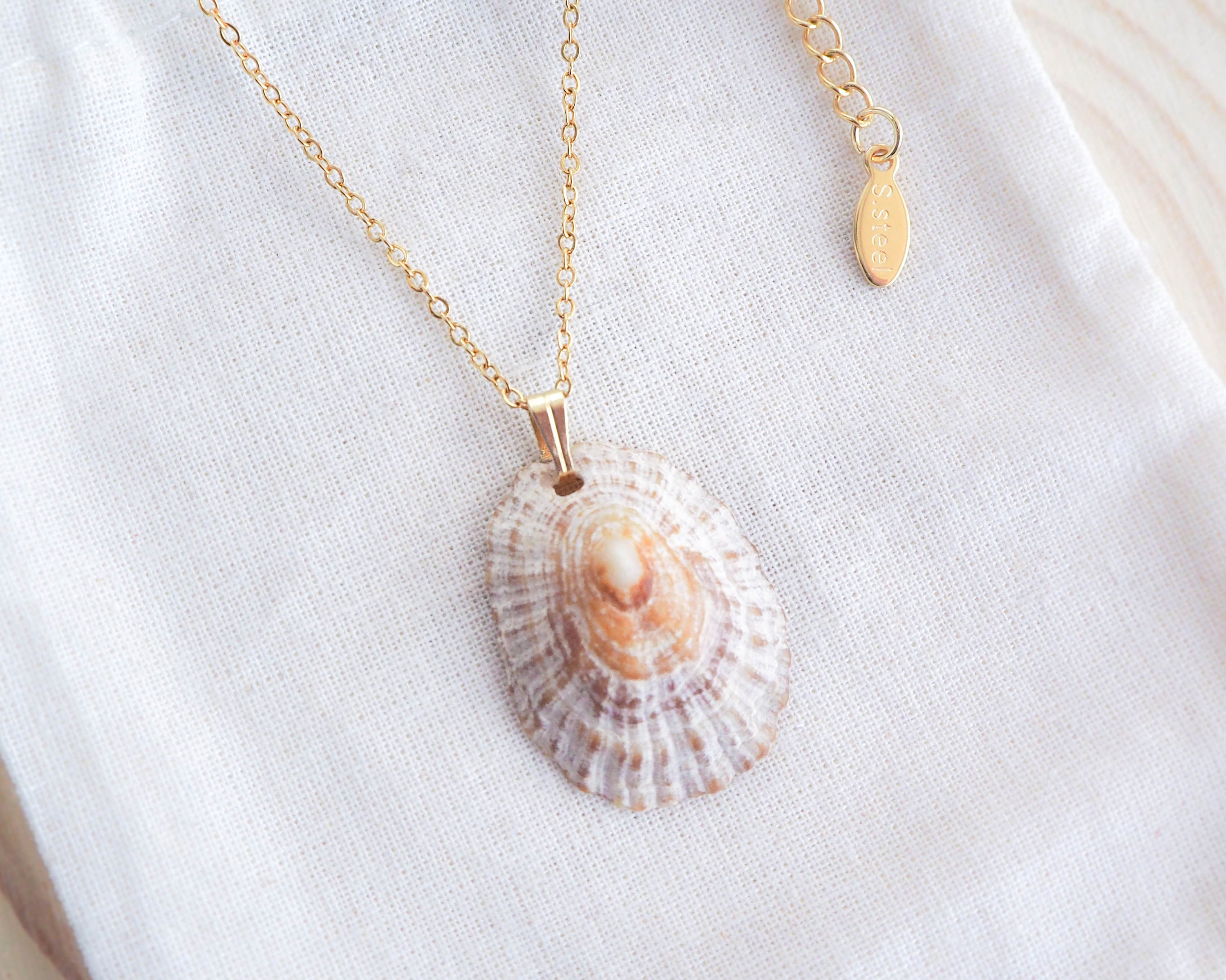Gold Rustic Limpet Shell Necklace Real Shell Jewelry From Portugal ...