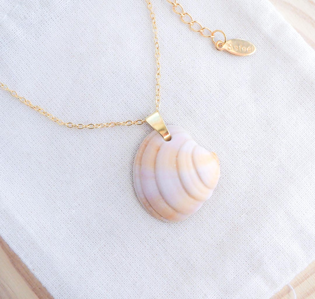 Soft Pink Sunset Venus Shell on Gold Necklace, Handpicked From Algarve ...