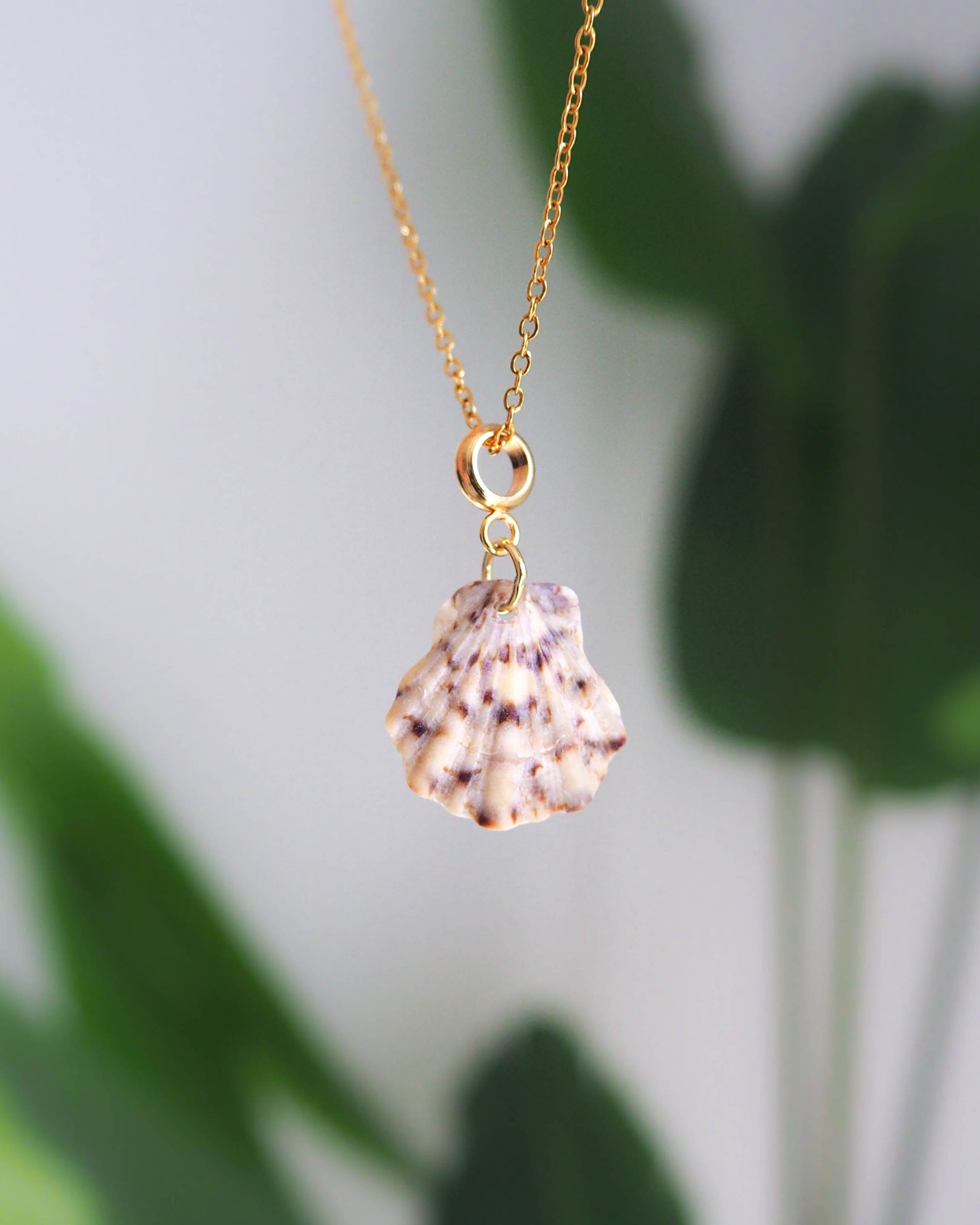 Unique Gold Leopard Scallop Shell Necklace Real Shell Jewelry Coastal ...