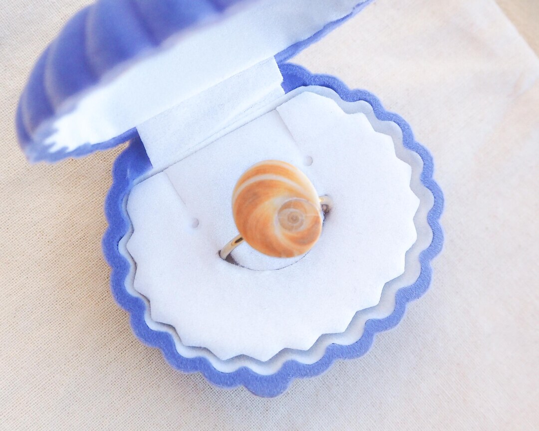 Eye of Saint Lucia Shell Ring, 18k Gold Adjustable Ring, Real Shiva Eye ...