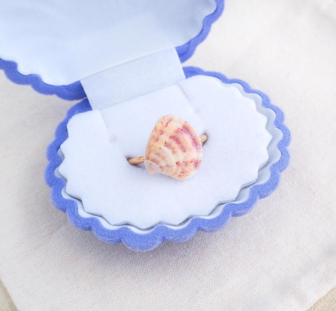 Gold Fuchsia Orange Venus Shell Ring, Tiny Venus Shell From Portugal ...