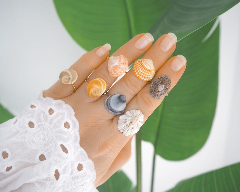 Tiny Limpet Shell Ring, Handpicked Keyhole Limpet Seashell From ...