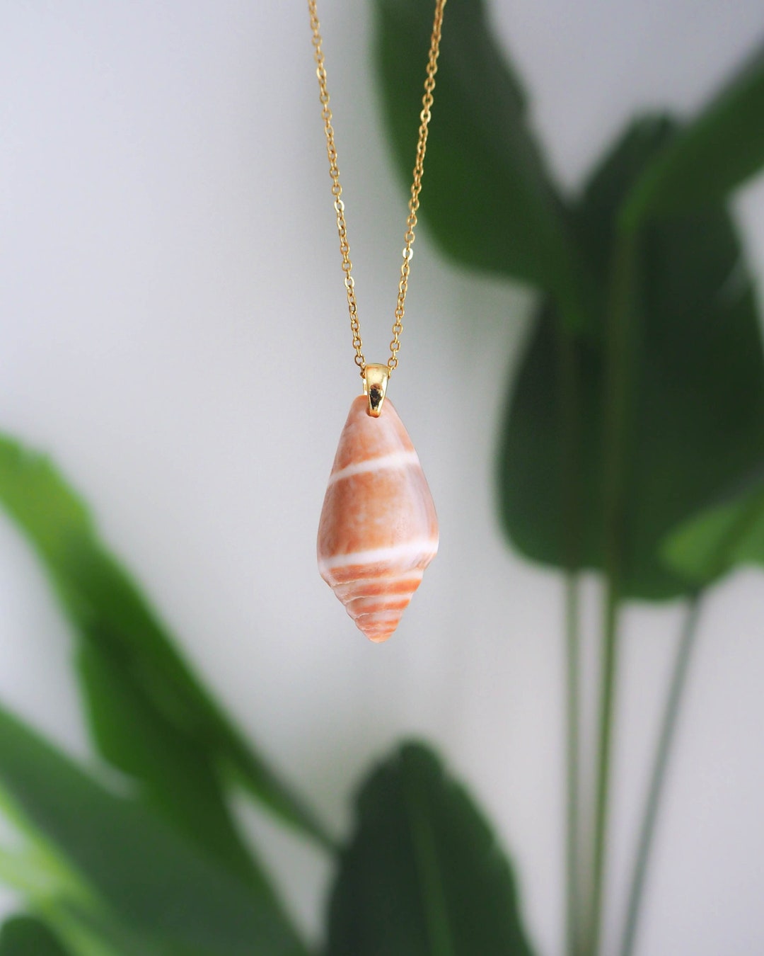 Gold Cone Shell Necklace - Real Shell Jewelry From Portugal - Ocean ...