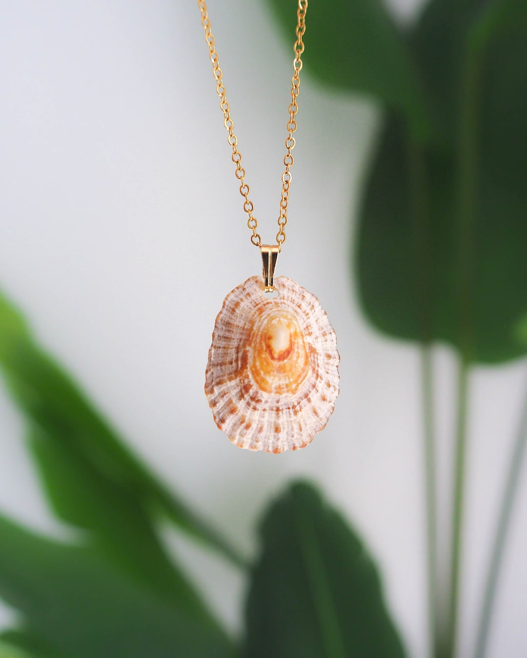 Gold Rustic Limpet Shell Necklace Real Shell Jewelry From Portugal ...