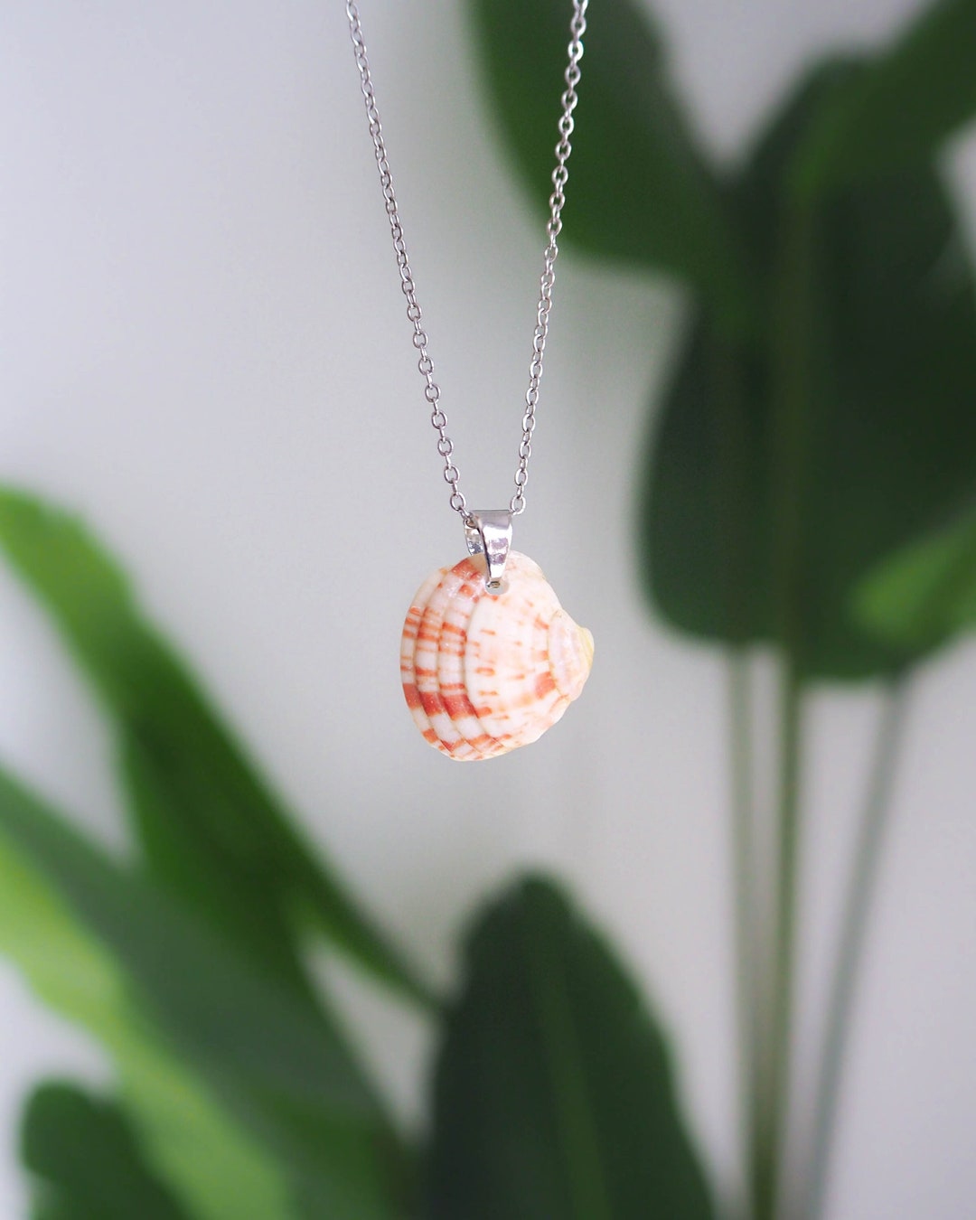 White Strawberry Venus Shell Silver Necklace Real Shell Jewelry Coastal ...