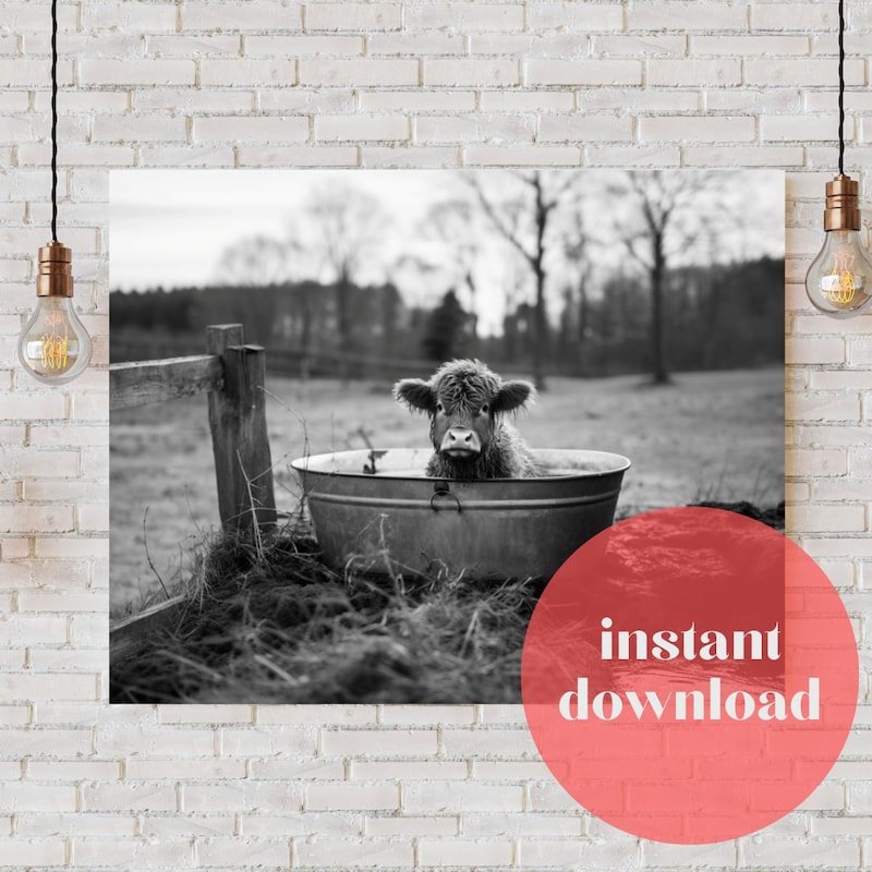 Framed Cow in Tub Print - Etsy