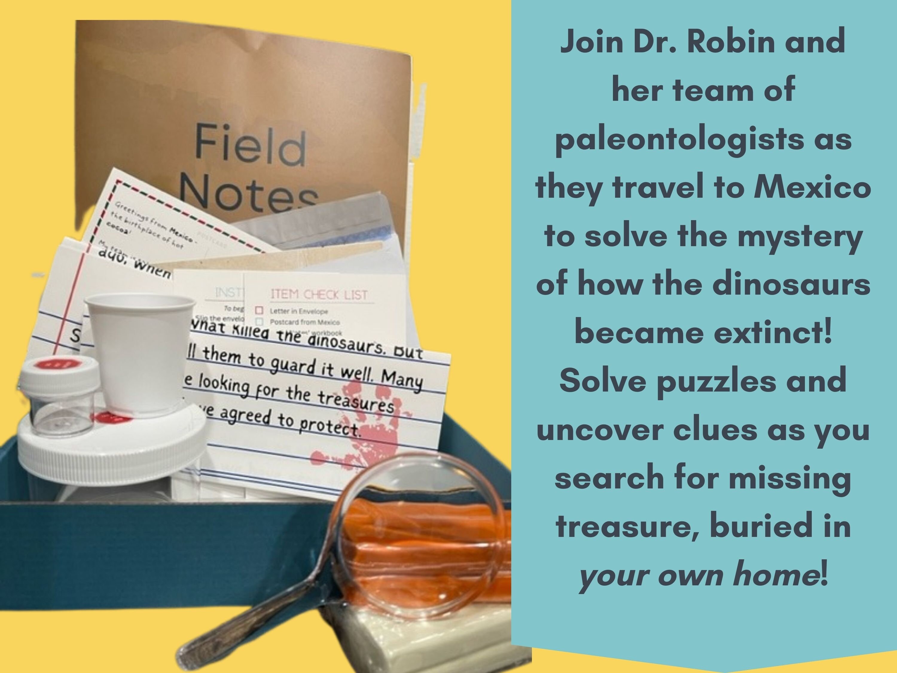 Digging for Dinosaurs Adventure Box, Dinosaur Adventure Mystery ...