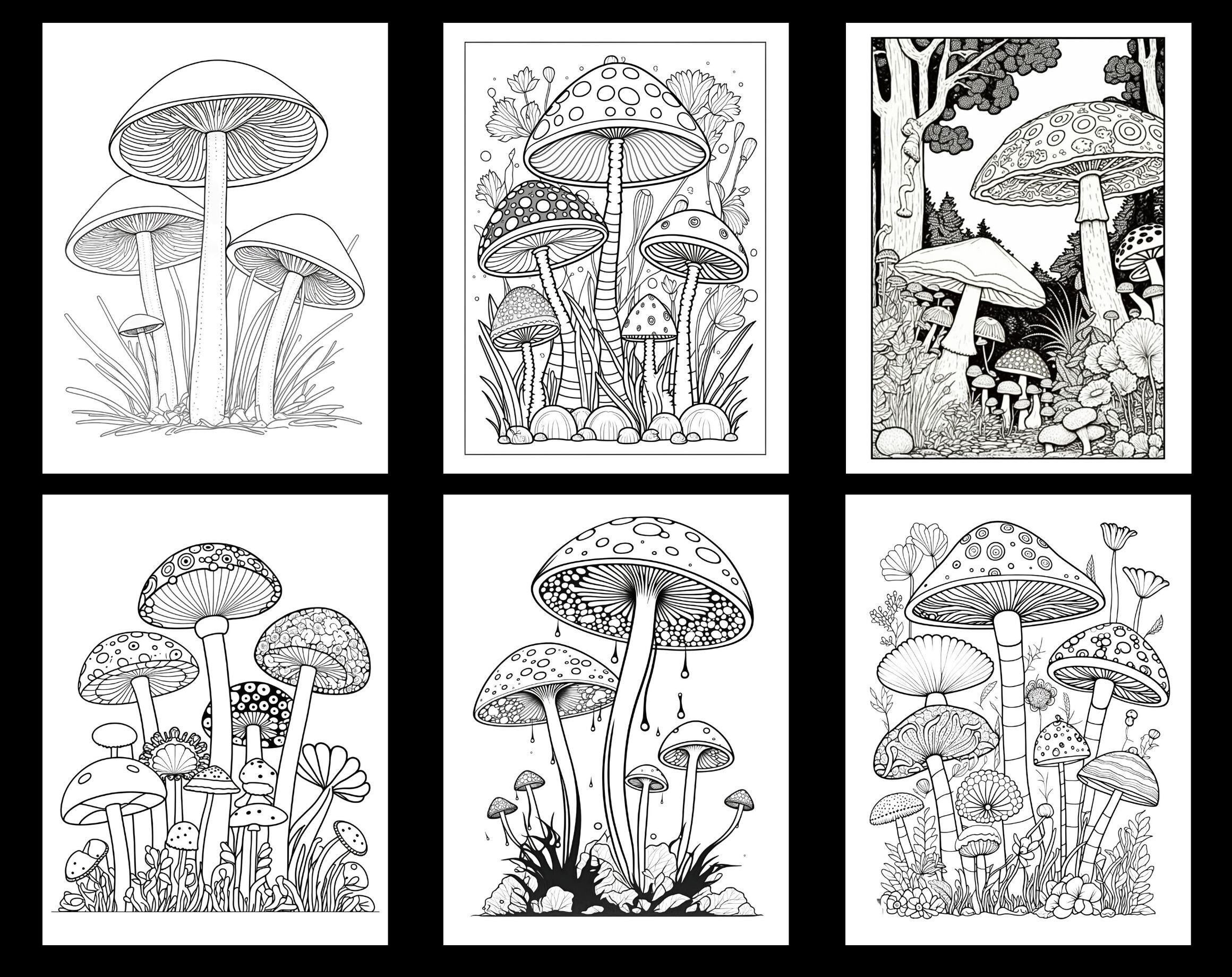 25 Enchanted Mushroom Coloring Pages Adults Teens Coloring Book ...