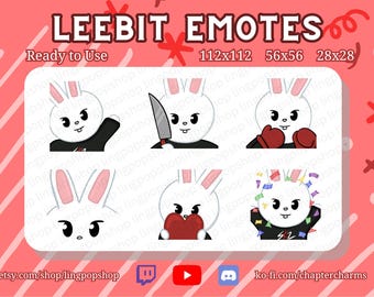 Stray Kids Birthday Card Printable Digital Download - SKZOO Leebit Lee ...