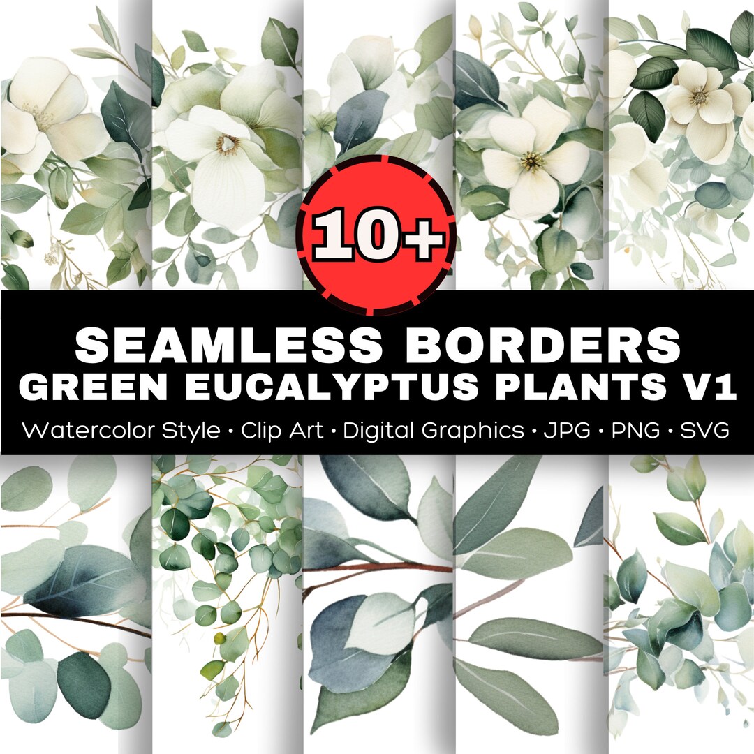 Watercolor Eucalyptus Borders Clip Art, Seamless Greenery Design ...