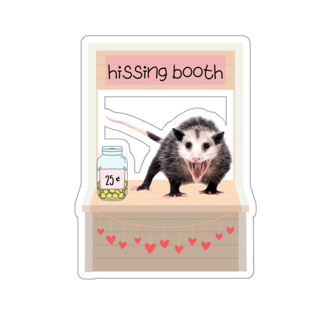 Hissing Kissing Cute Opossum Booth Valentine's Day Gifts for Her Funny ...