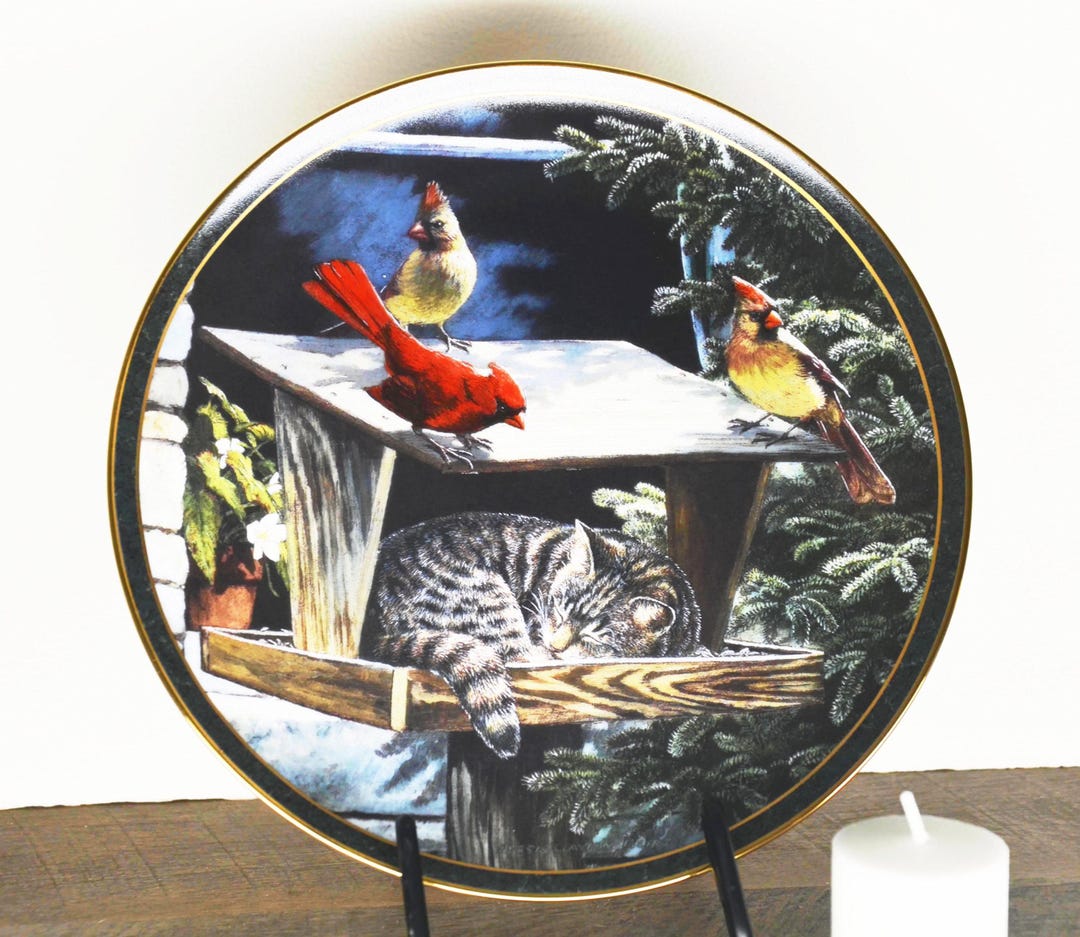 Limited Edition "cat Nap" Decorative Plate - Etsy Canada