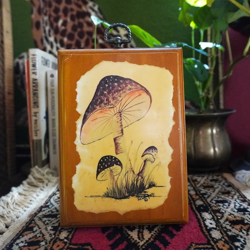 Vintage Mushroom Art - Etsy
