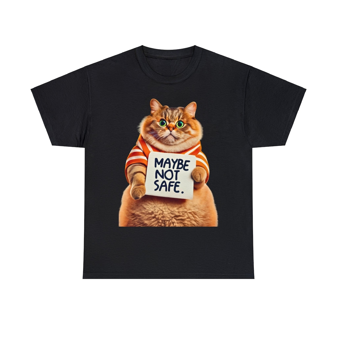 Funny Cat T-shirt Humorous Gift for Her Graphic Tee - Etsy