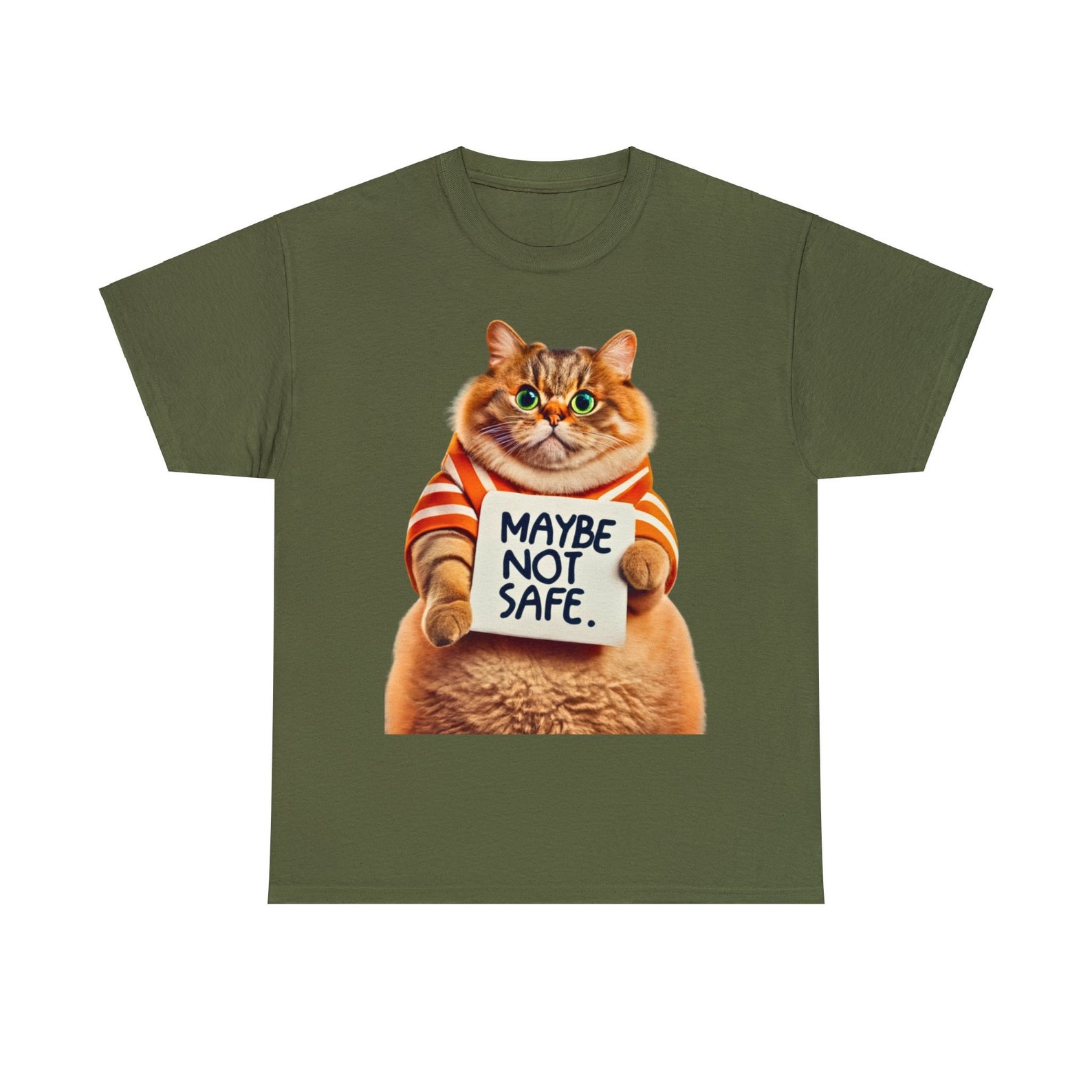 Funny Cat T-shirt Humorous Gift for Her Graphic Tee - Etsy