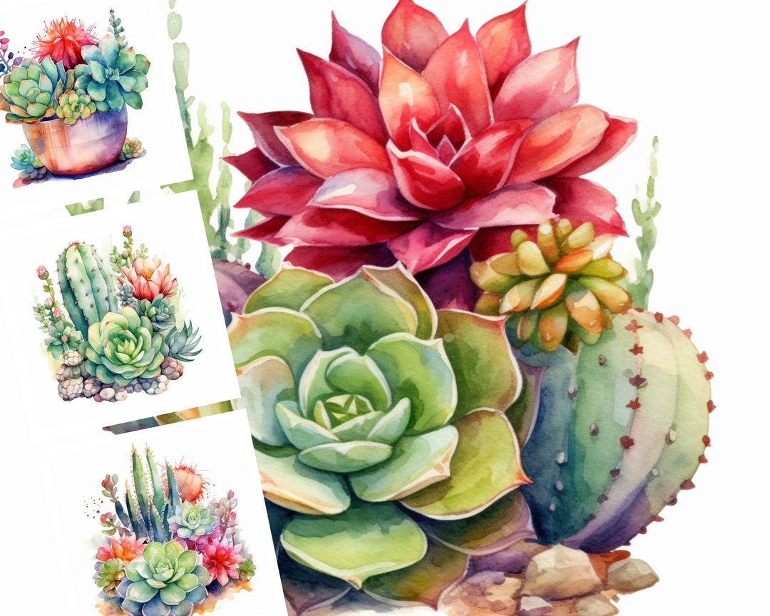 Watercolor Succulent Printable Art - Digital Design Bundle of 10 ...