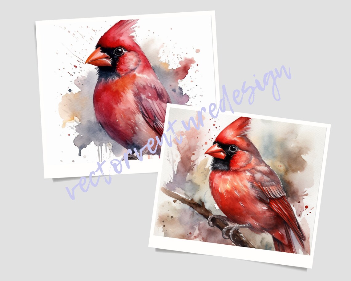 Watercolor Red Cardinal Bird Printable Art - Digital Design Bundle of ...