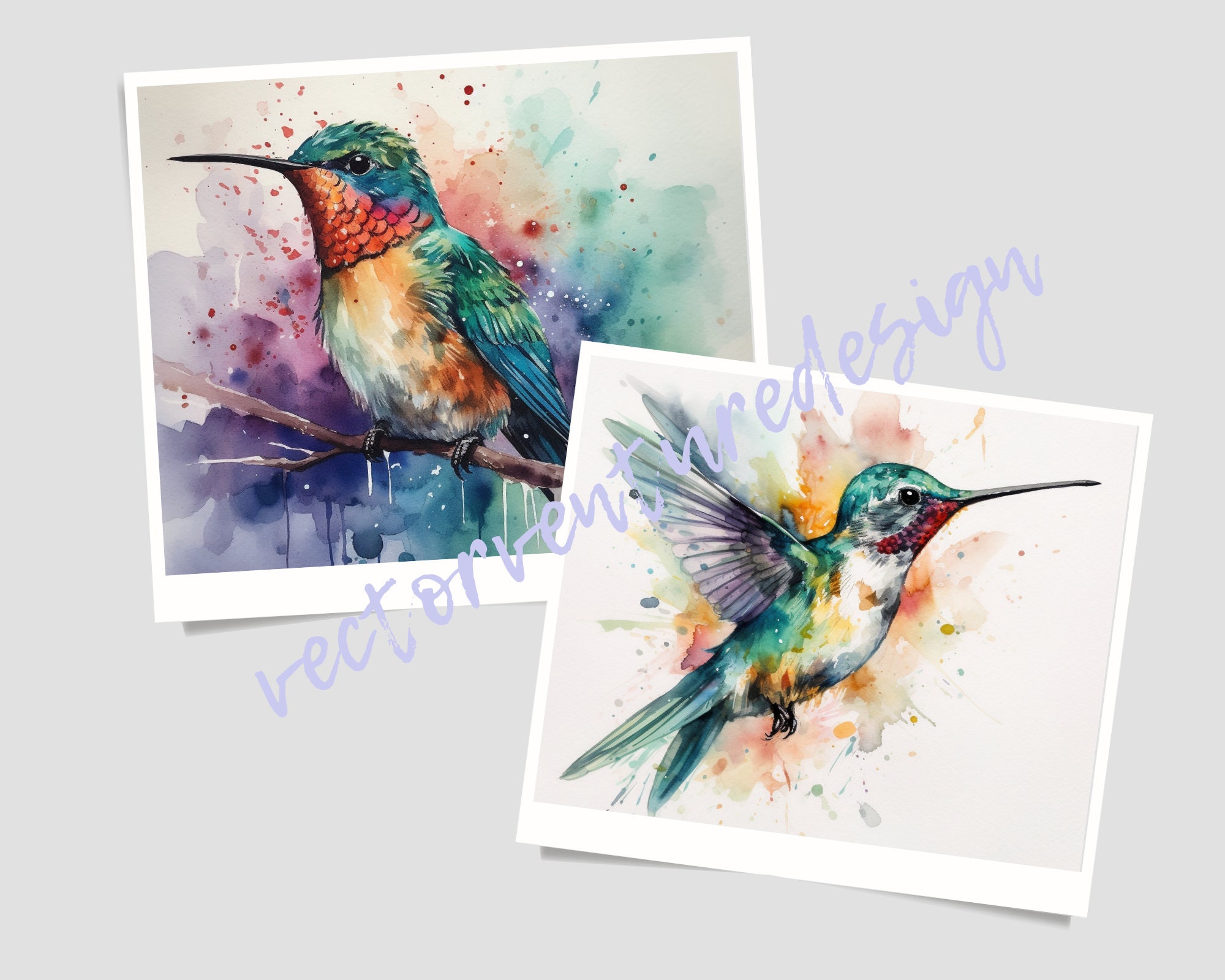 Watercolor Hummingbird Printable Art Digital Design Bundle of 10 ...