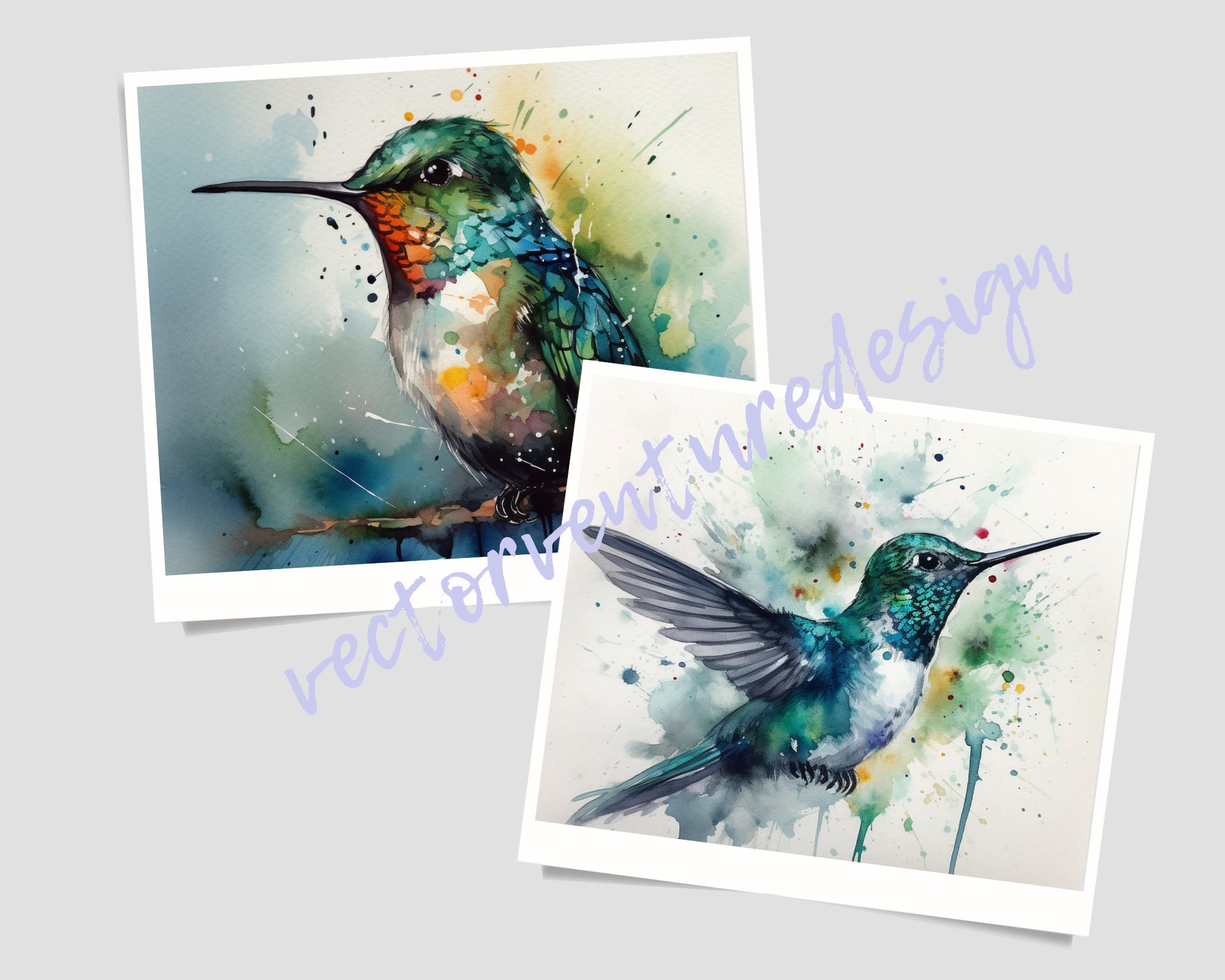 Watercolor Hummingbird Printable Art Digital Design Bundle of 10 ...