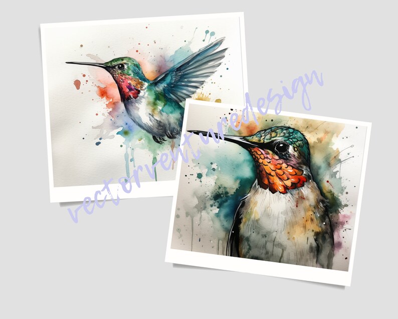 Watercolor Hummingbird Printable Art Digital Design Bundle of 10 ...
