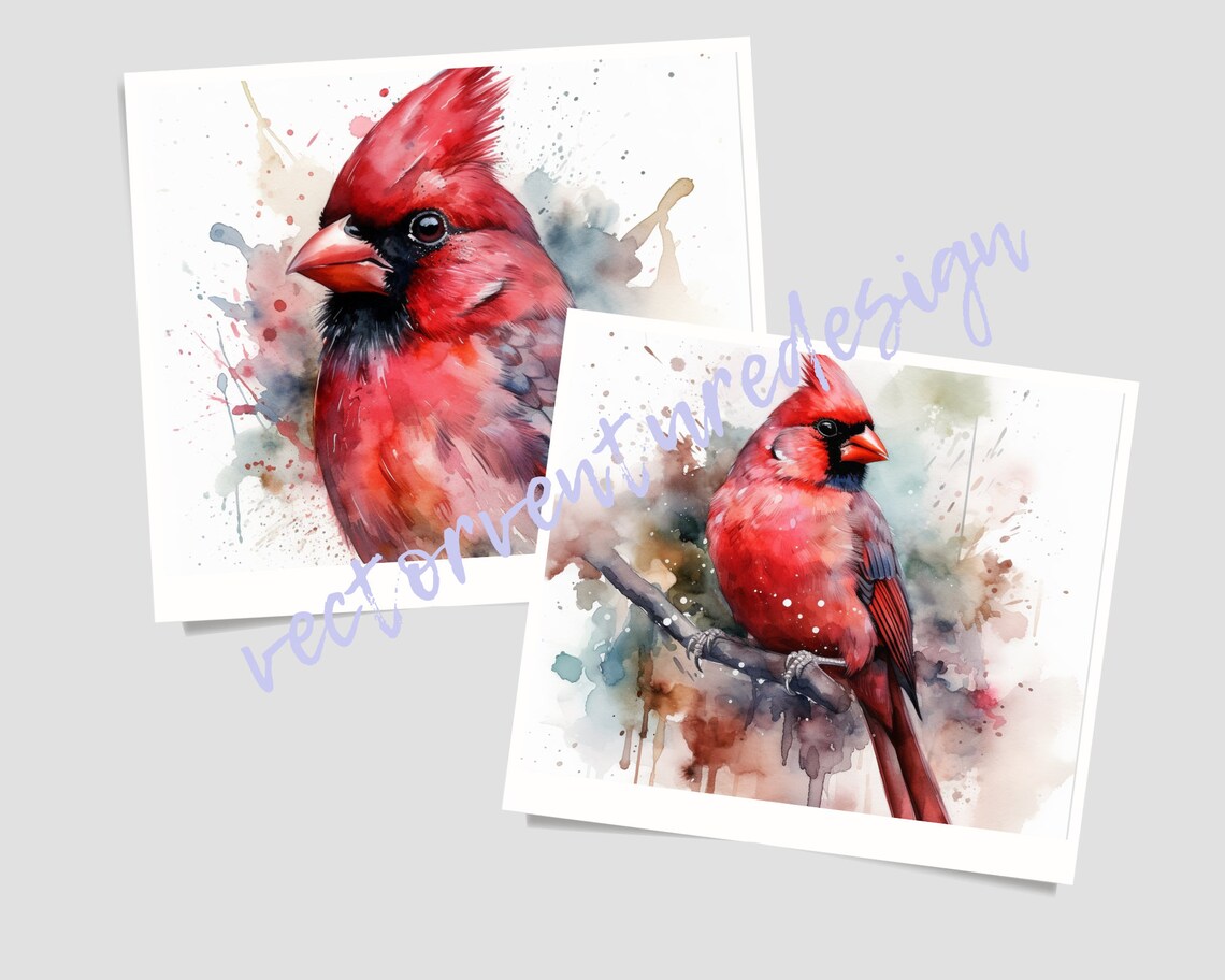Watercolor Red Cardinal Bird Printable Art Digital Design Bundle of 10 ...