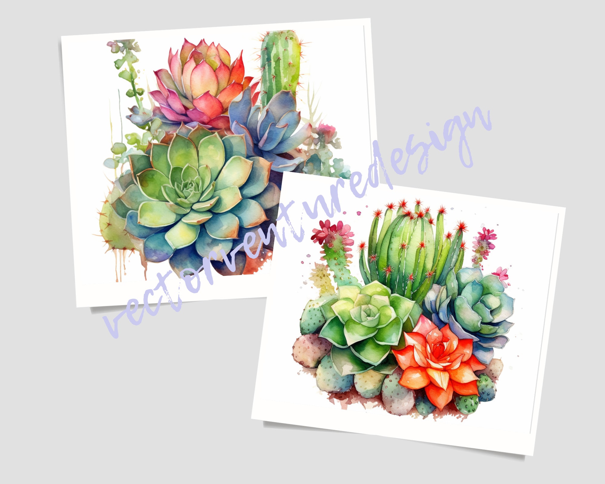 Watercolor Succulent Printable Art - Digital Design Bundle of 10 ...